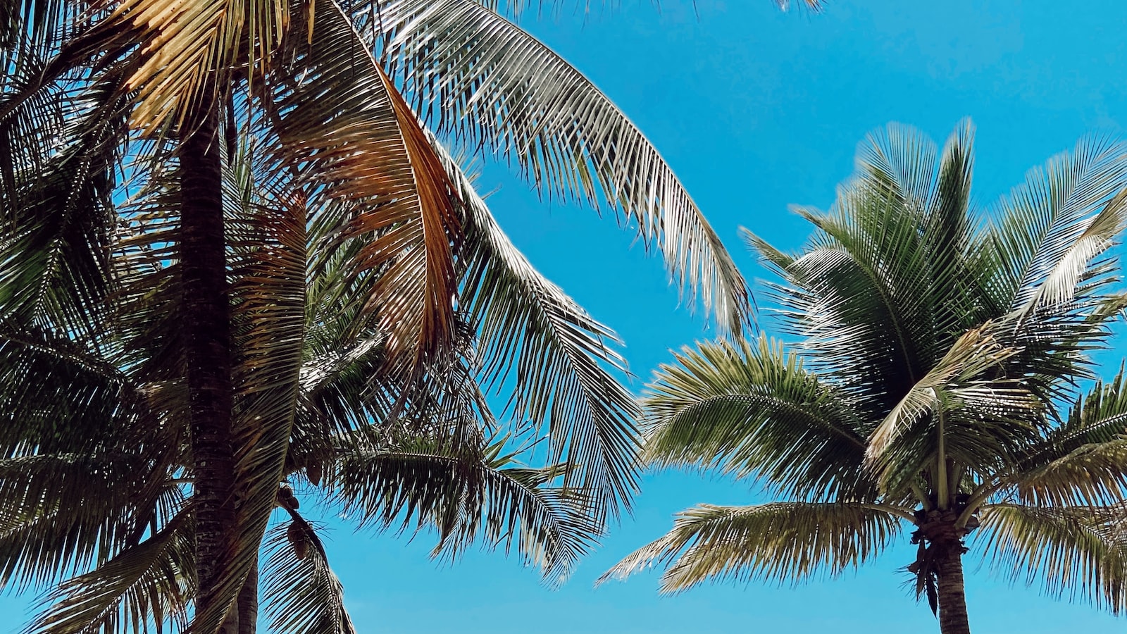 Cómo Aprender a Deshilar en Tela